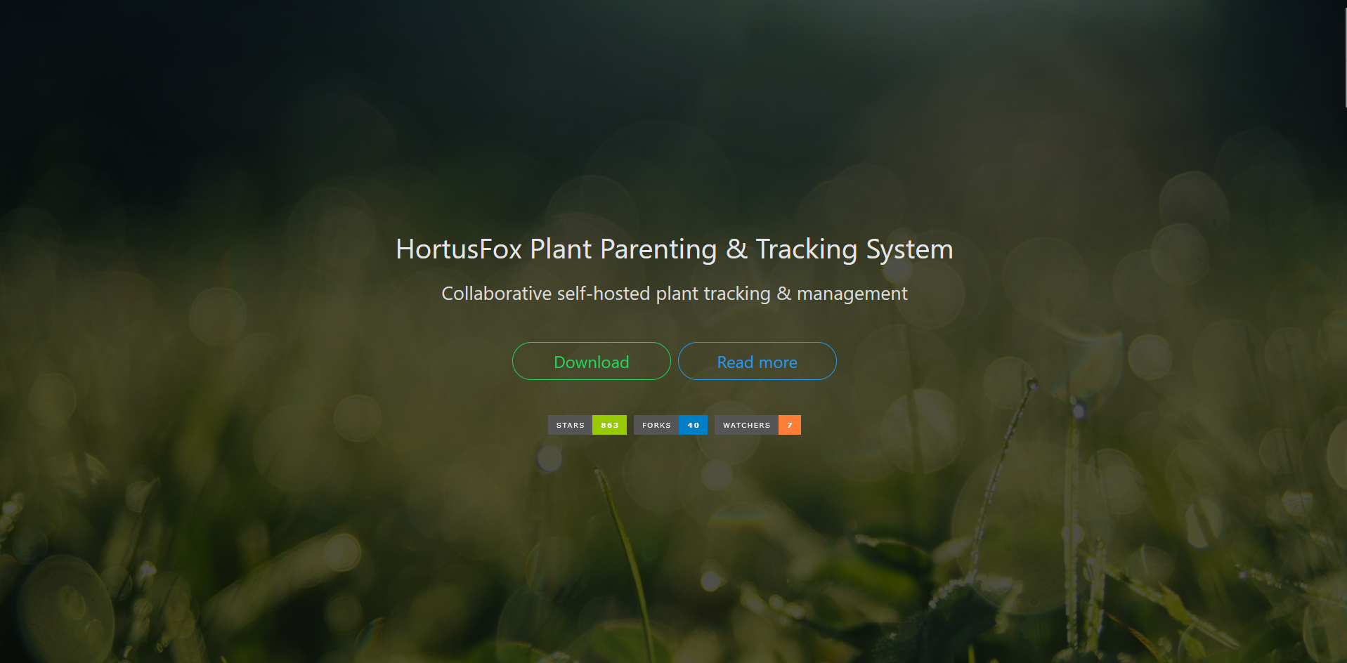 Daniel Brendel | Senior Indie Software Developer & Project Founder